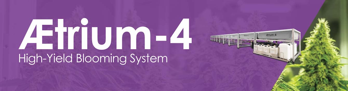 AEssenseGrows Cultivation | Commercial Hydroponic Bloom Automation